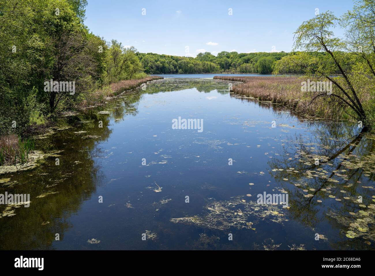 Medicine Lake in Clifton E French Regional Park in Plymouth Minnesota ...