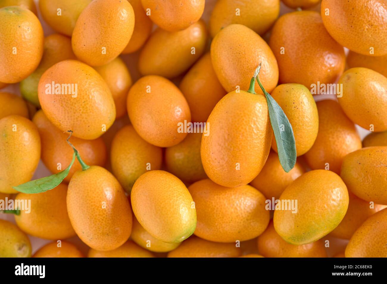 Fresh kumquats, small exotic fruits, filling the frame. Citrus ...