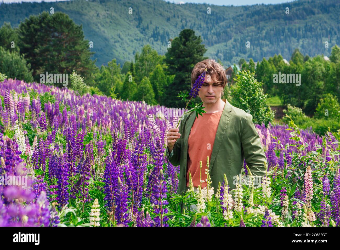 Tall handsome man standing on lupine flowers field Stock Photo - Alamy