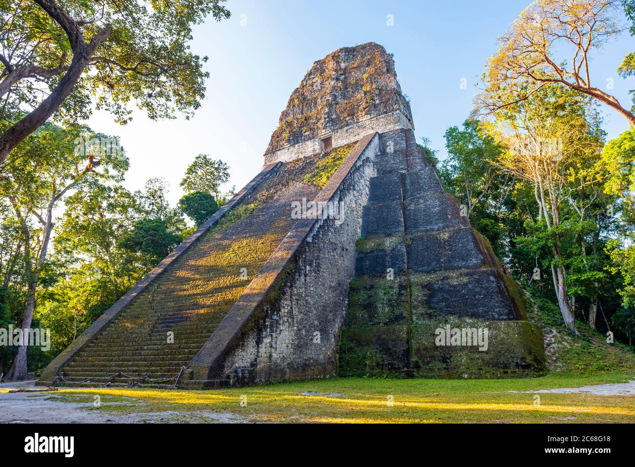 Maya Temple V Pyramid at sunrise, Tikal, Guatemala Stock Photo - Alamy