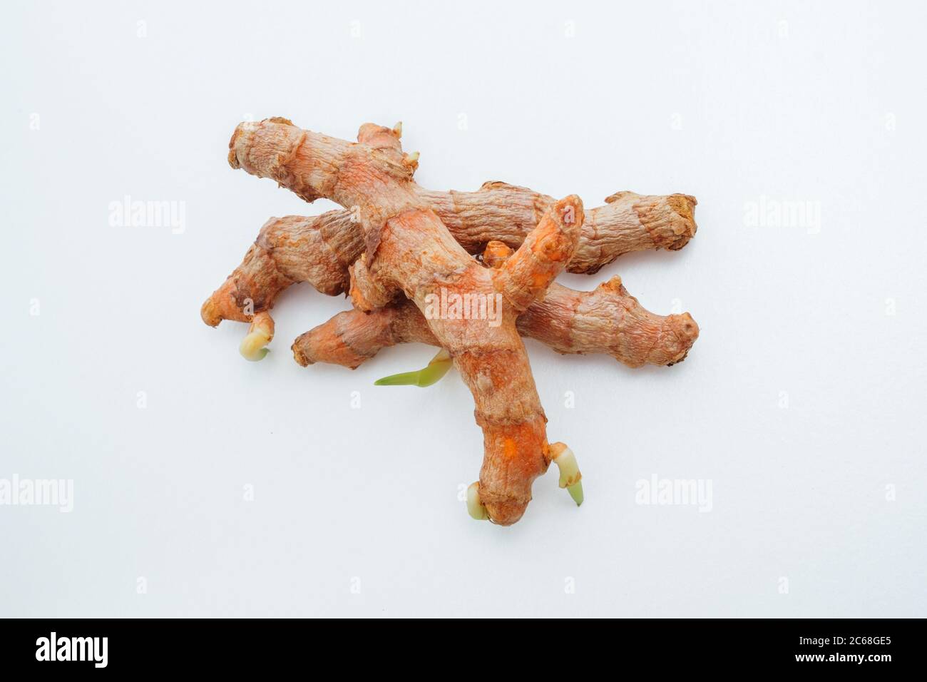 Dyeing roots hi-res stock photography and images - Alamy