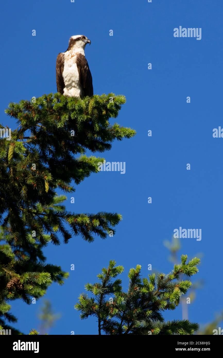 Silverton reservoir hi-res stock photography and images - Alamy