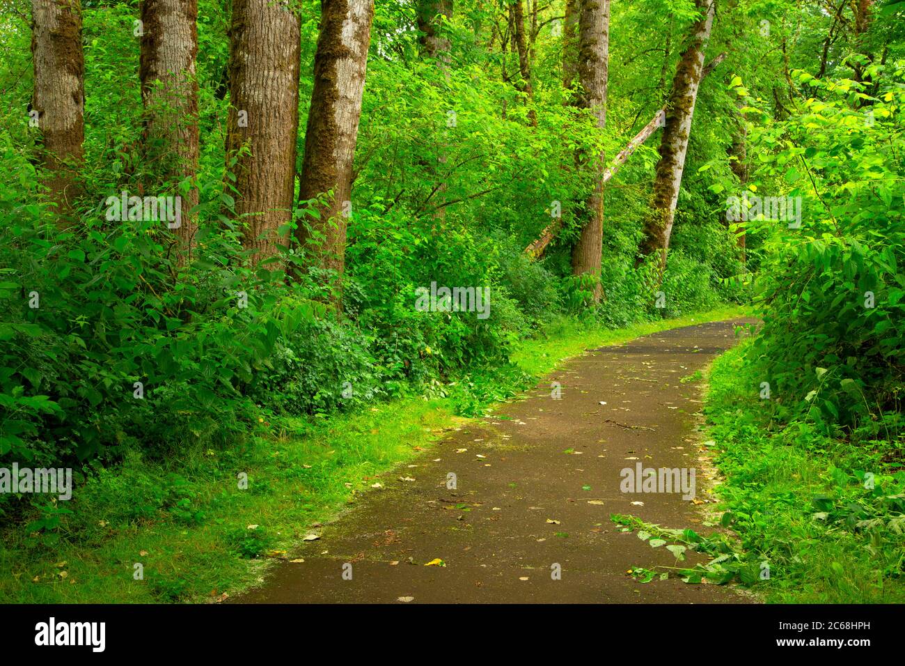 Bike trail, Willamette Mission State Park, Oregon Stock Photo - Alamy