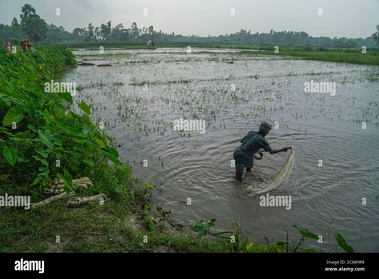 Jute washing hi-res stock photography and images - Alamy