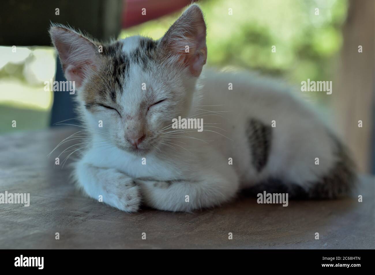 Nap background hi-res stock photography and images - Alamy