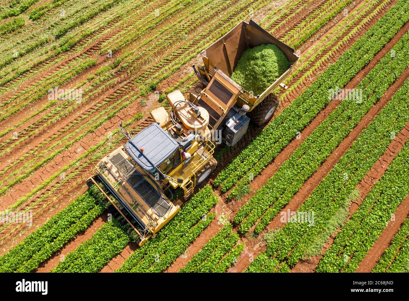 Crop picker hi-res stock photography and images - Alamy