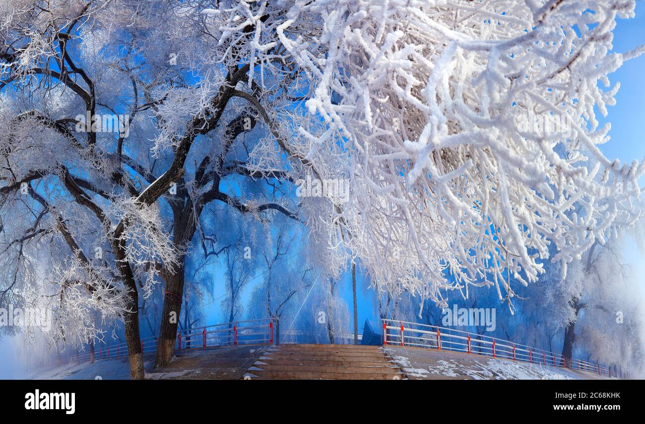 Mudanjiang province hi-res stock photography and images - Alamy