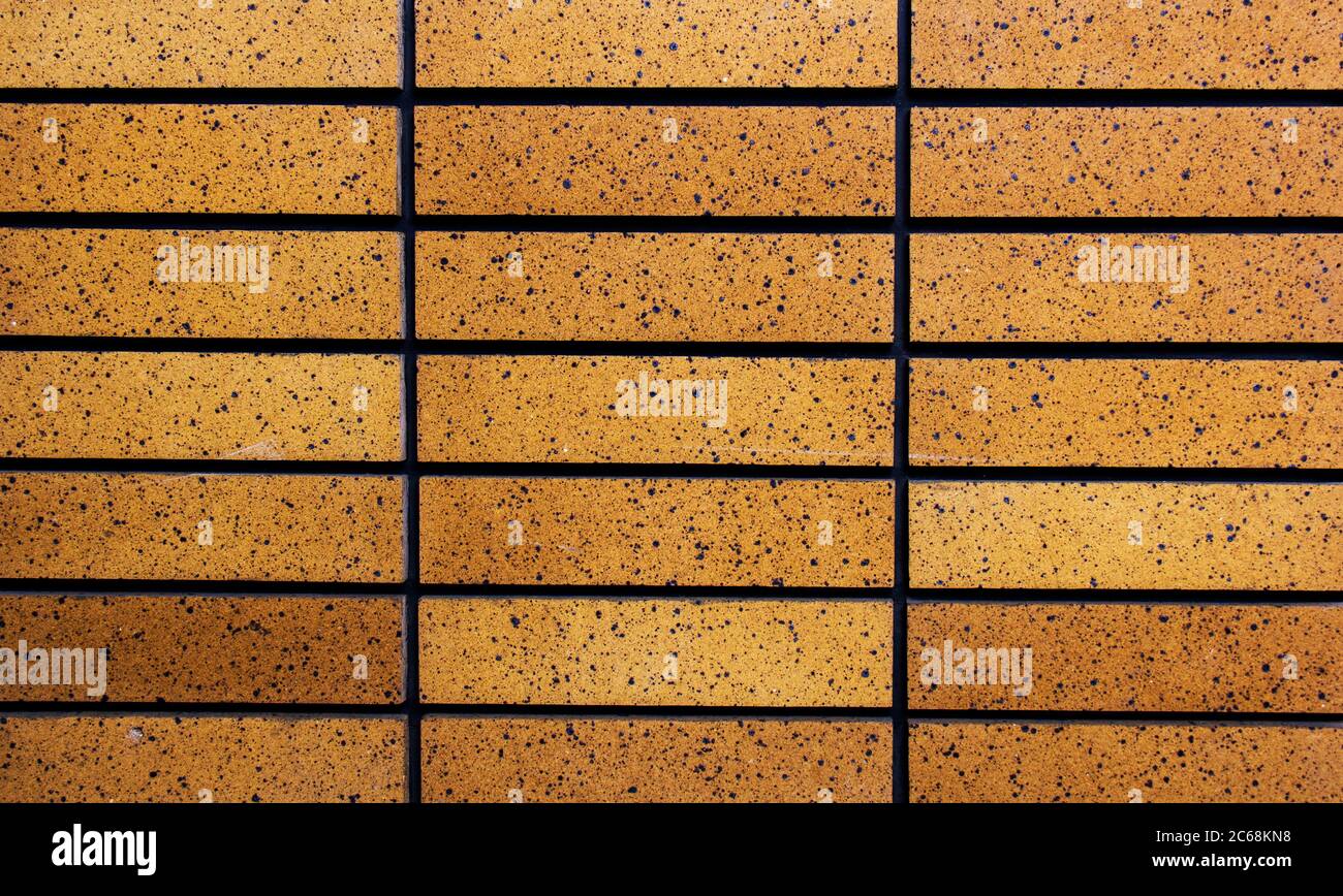 Arrange the bricks side by side - on a wall. The front of the brick ...