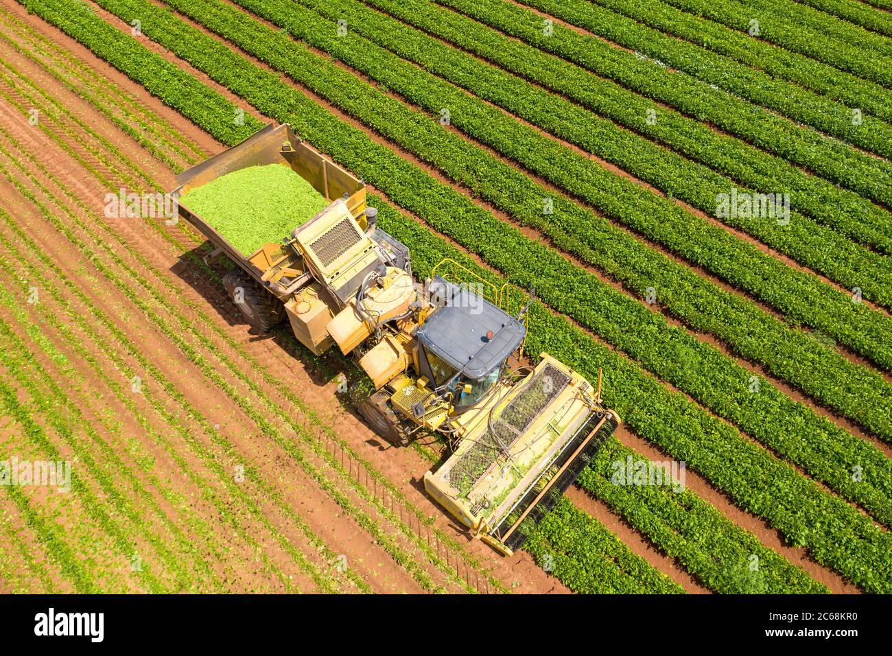 Crop picker hi-res stock photography and images - Alamy