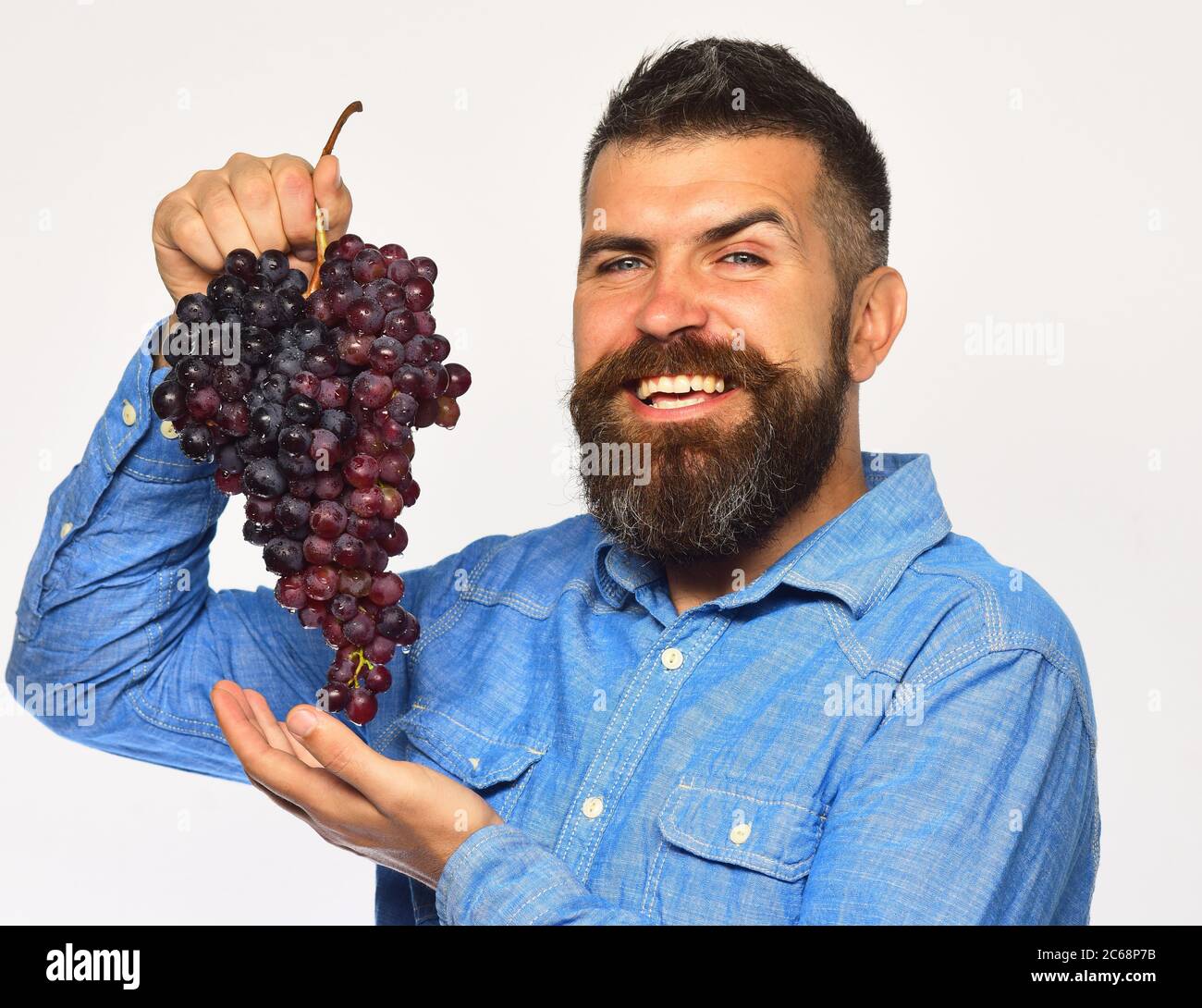 Winemaking and autumn concept. Winegrower with happy face holds cluster ...