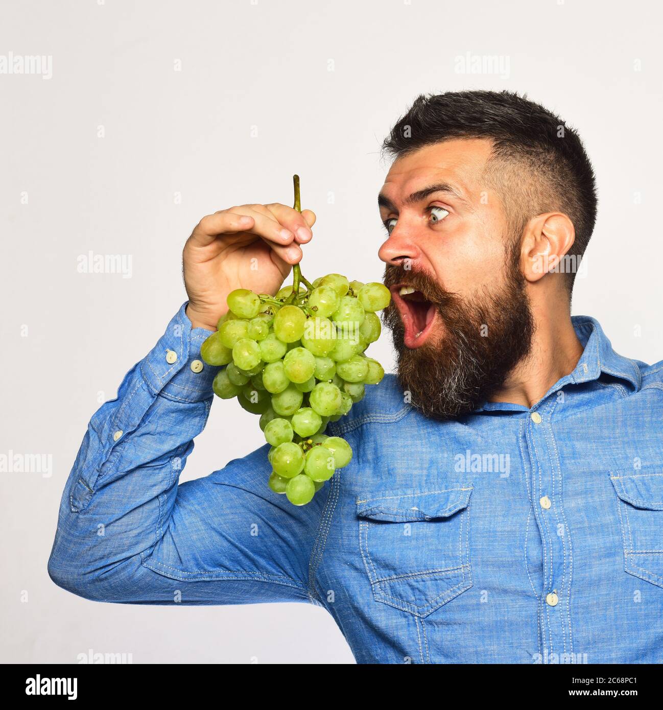 Farmer shows his harvest. Man with beard holds bunch of green grapes ...