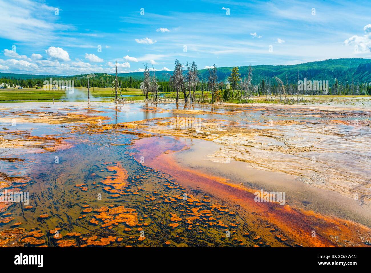 The colorful pools of hot springs in Yellowstone National Park, Wyoming ...