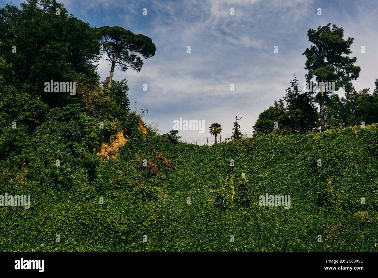 Georgian landscape with sky and green natural wall Stock Photo - Alamy