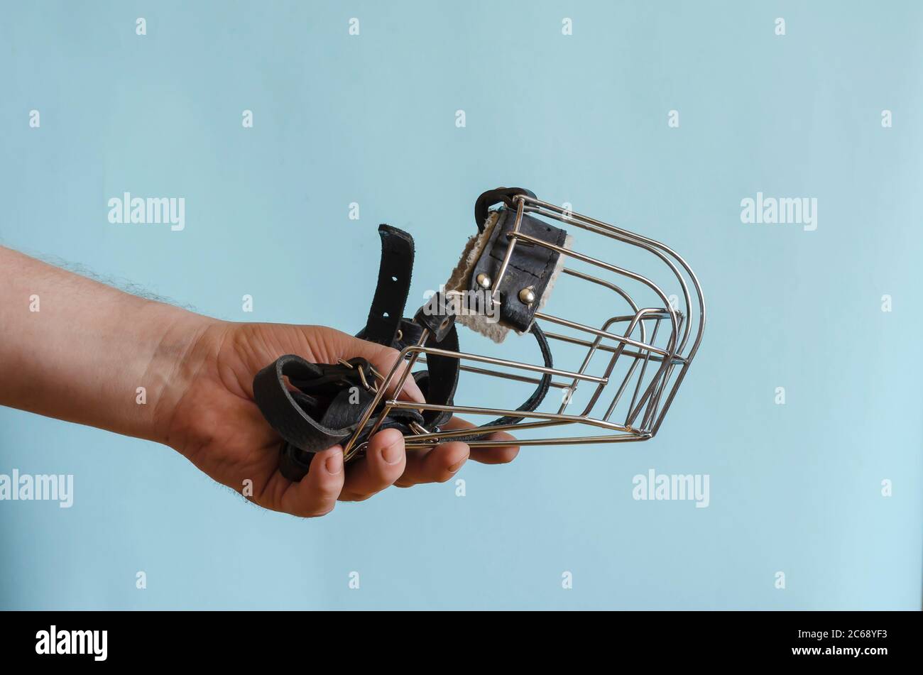 Dog straps hi-res stock photography and images - Alamy