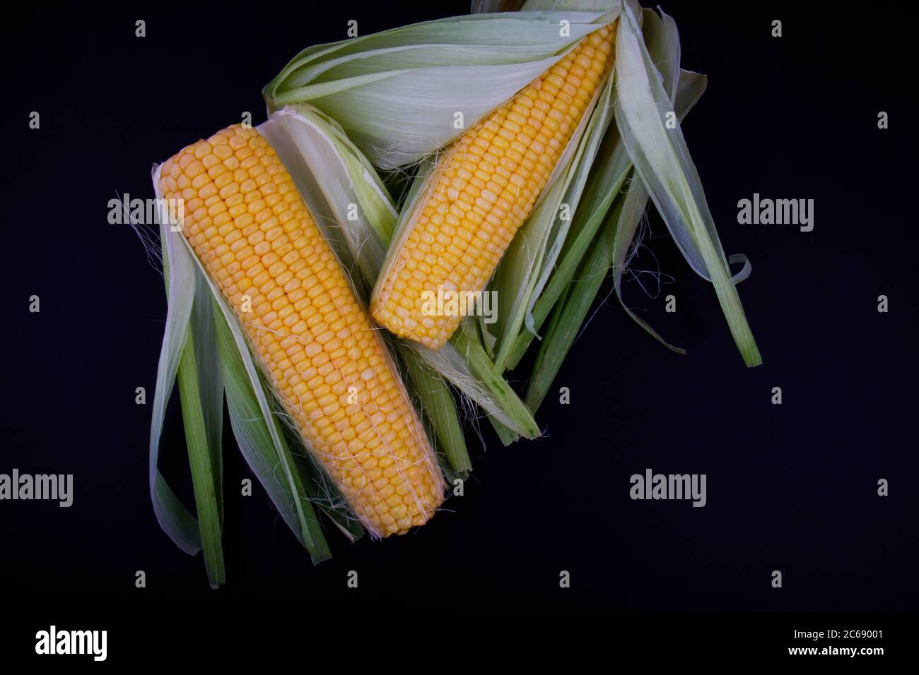 View a full corn with skin marked by large yellow grains with a black ...