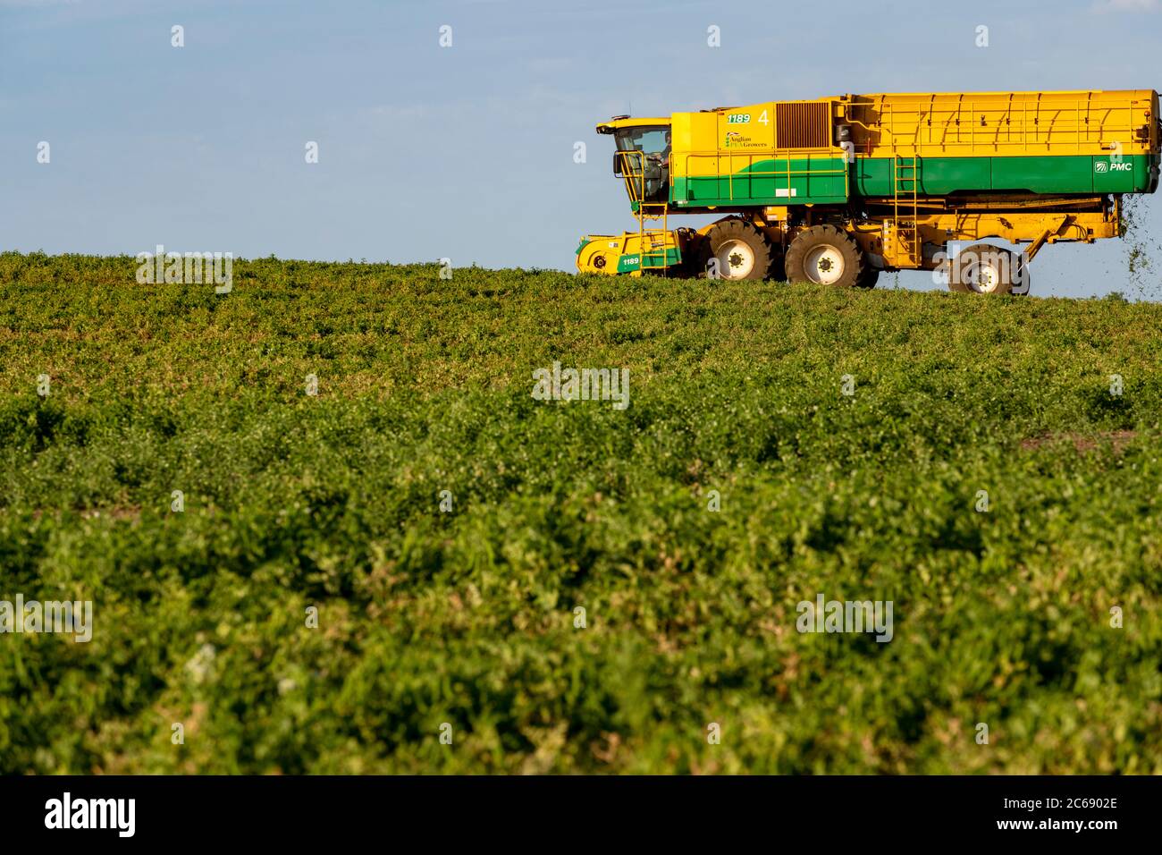 Pmc pea harvester hi-res stock photography and images - Alamy