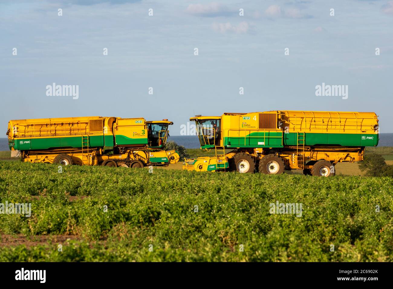 Self propelled pea harvesters hi-res stock photography and images - Alamy