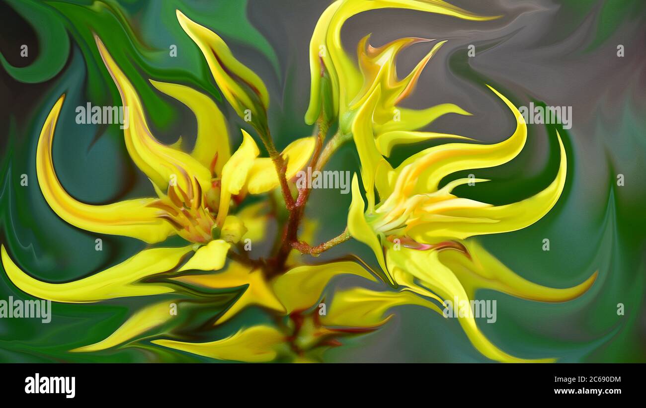 Abstract art digital art manipulation art hi-res stock photography and ...