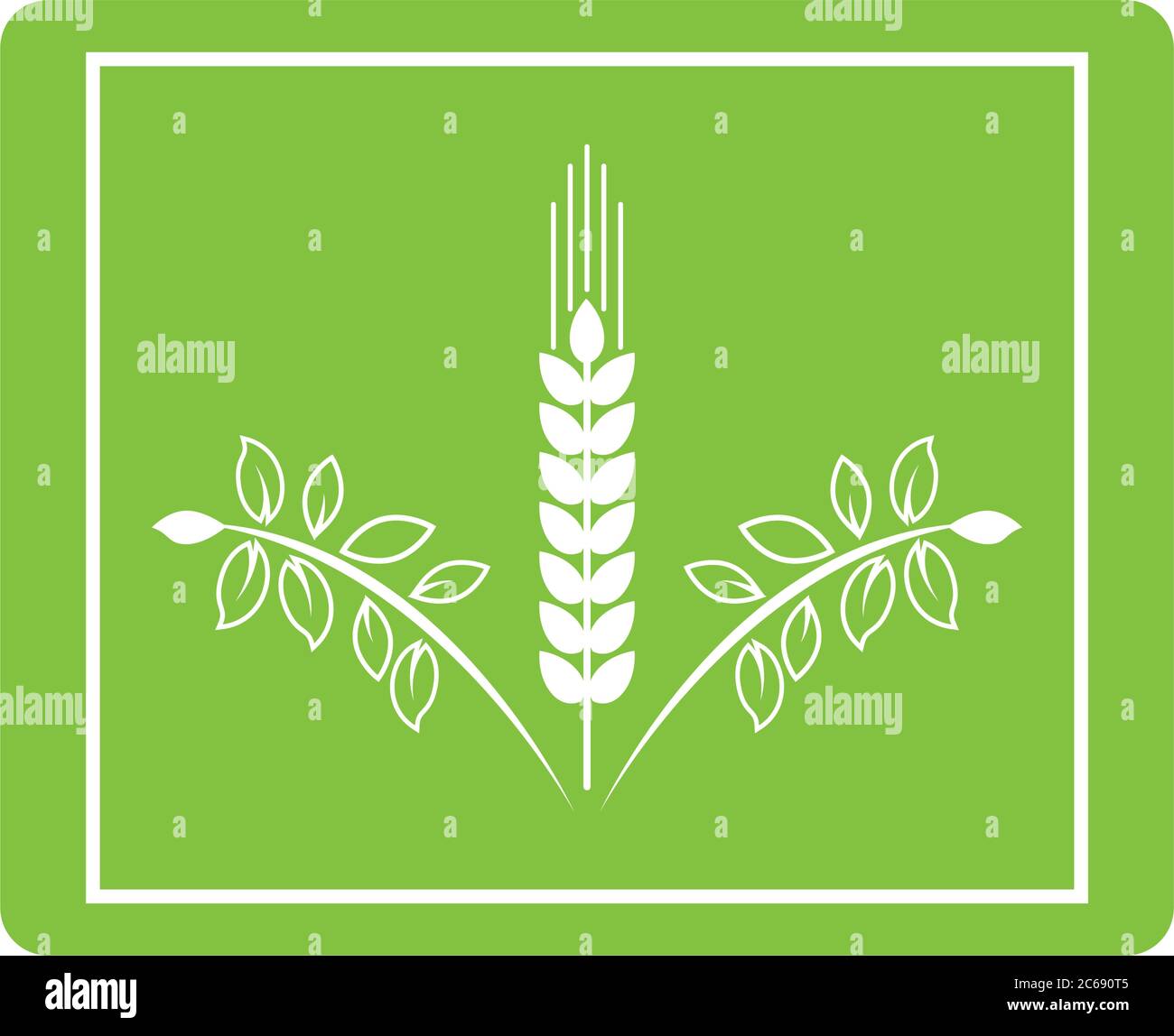 spikes plants organic product icon vector illustration design Stock ...