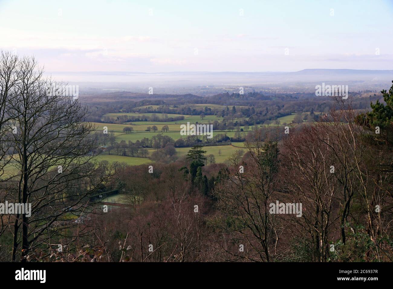 Newlands corner tree hi-res stock photography and images - Alamy