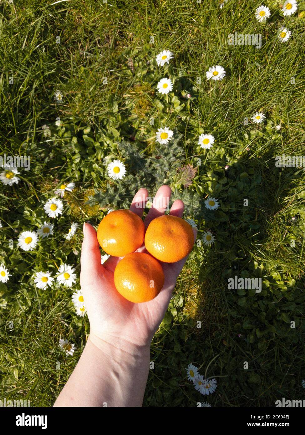 Satsumas woman hi-res stock photography and images - Alamy