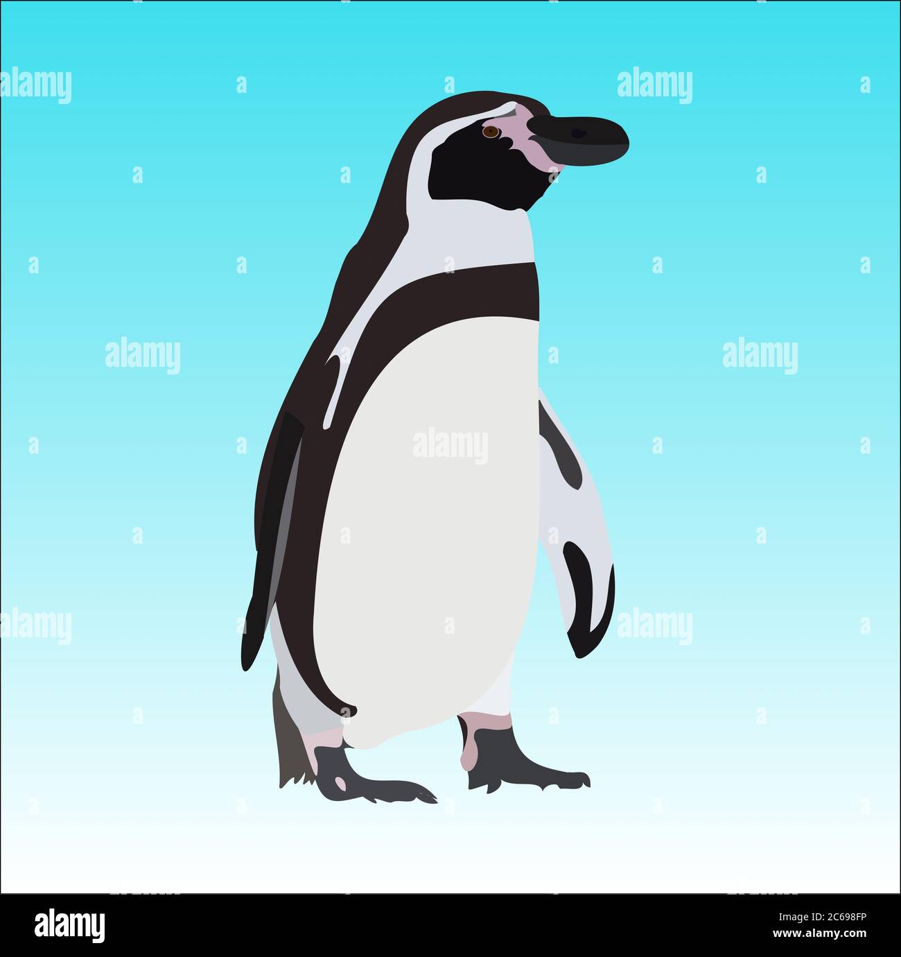 A graphic drawing of a Penguin for use as web decoration or a Logo ...