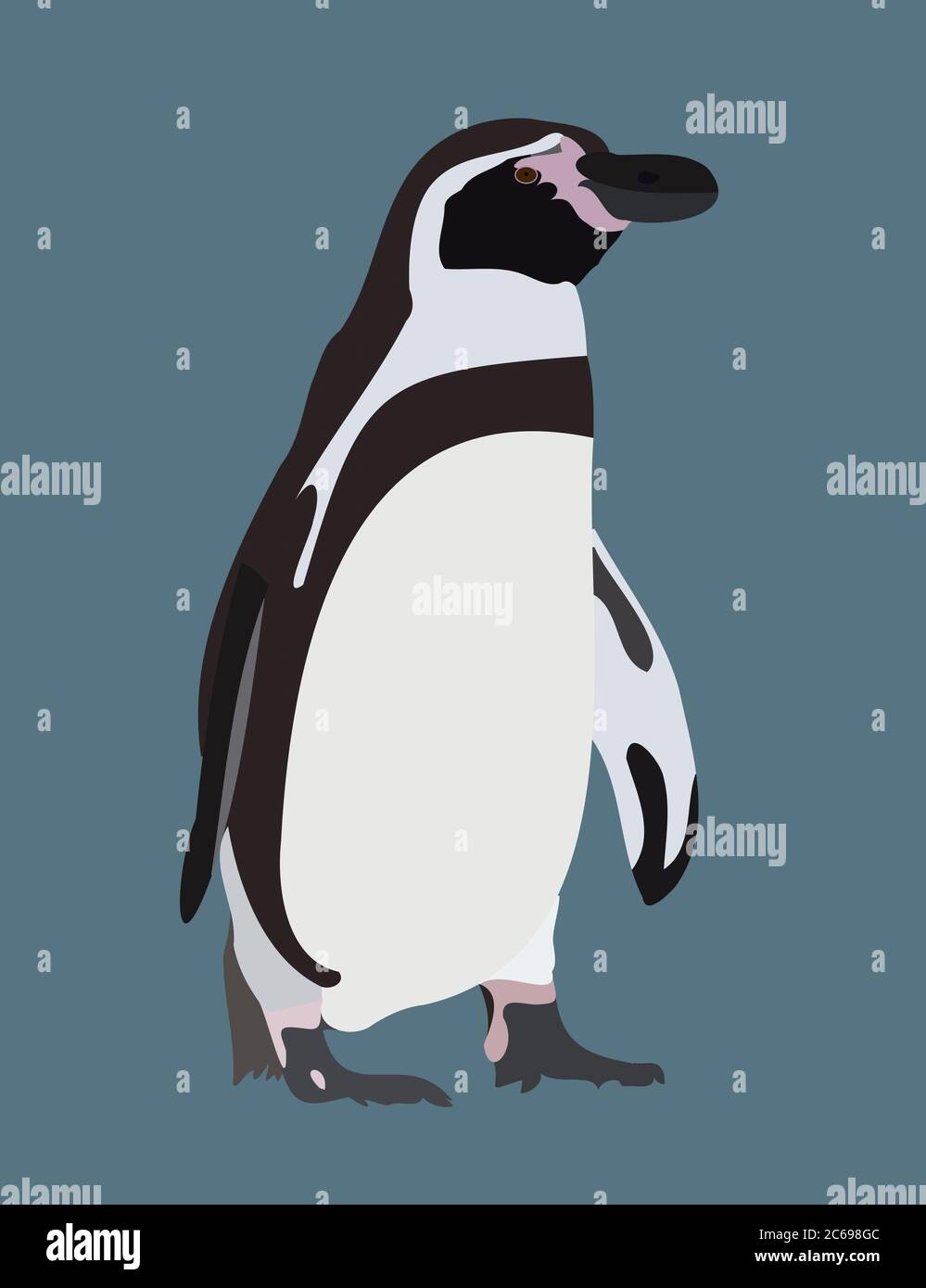 A graphic drawing of a Penguin for use as web decoration or a Logo ...