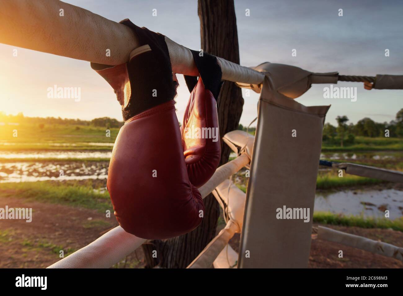 Outdoor boxing ring hi-res stock photography and images - Alamy