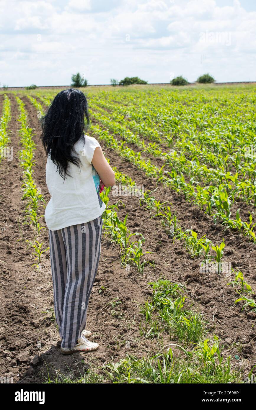 Corn farmer thinking portrait hi-res stock photography and images - Alamy