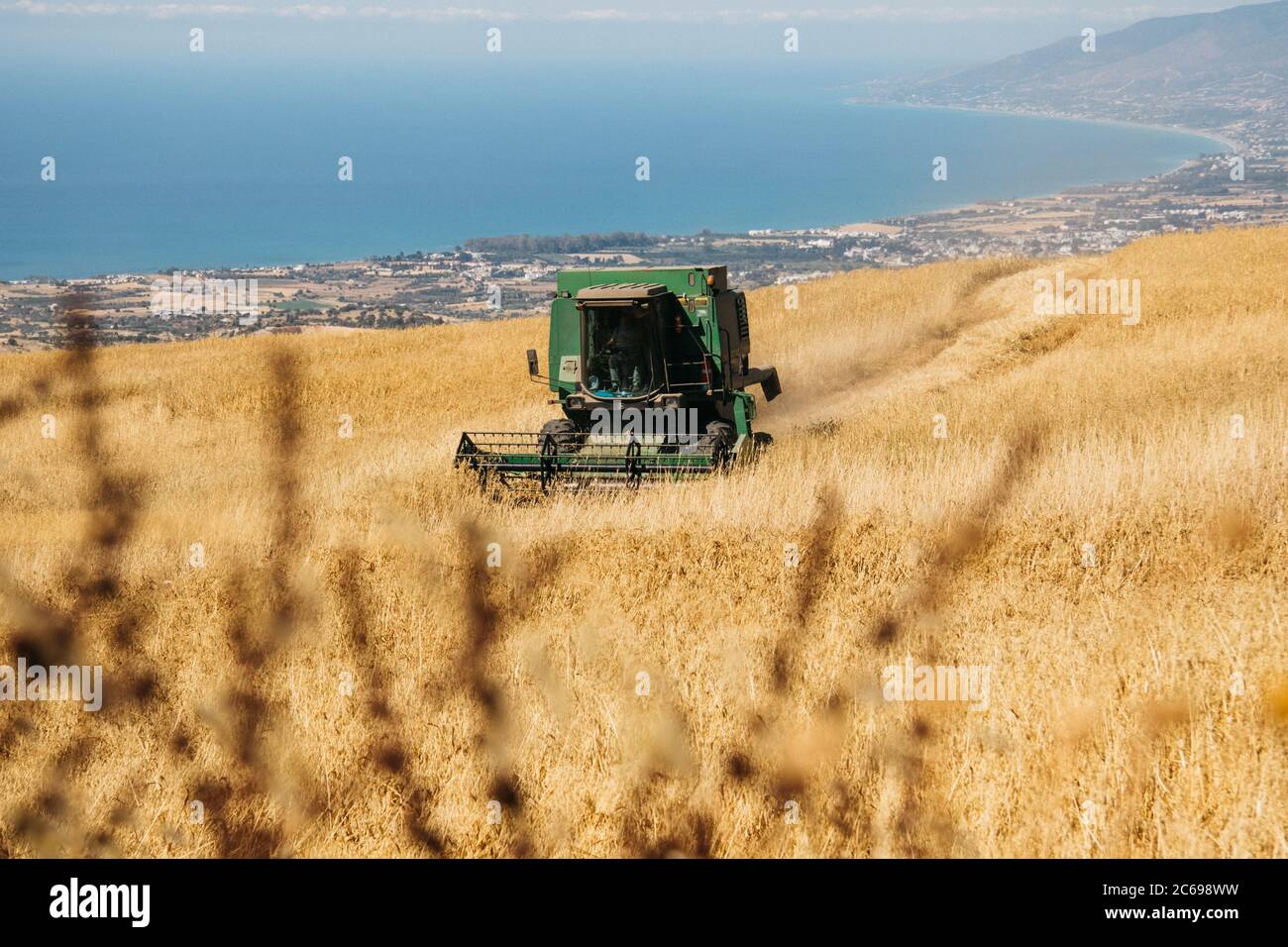 Harvest at Fasli, Paphos, Cyprus Stock Photo - Alamy