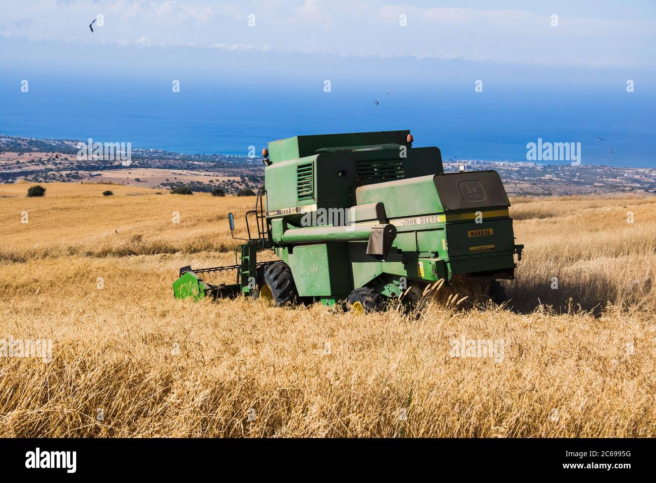 Harvest at Fasli, Paphos, Cyprus Stock Photo - Alamy