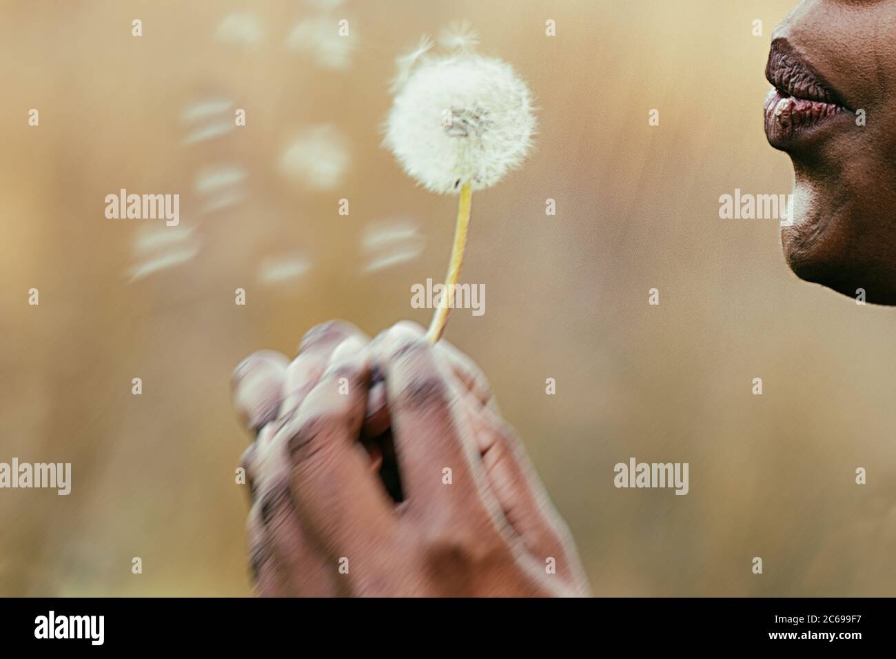 Woman blowing dandelion hi-res stock photography and images - Alamy