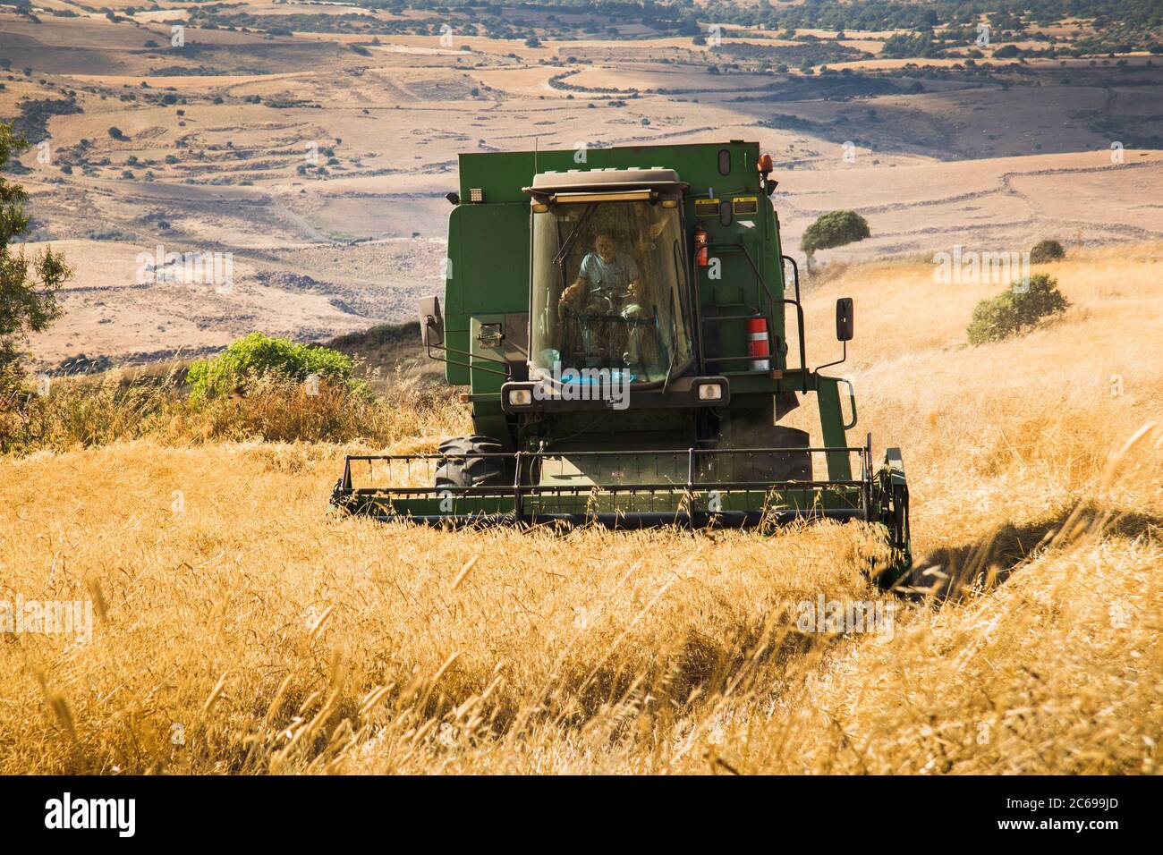 Harvest at Fasli, Paphos, Cyprus Stock Photo - Alamy