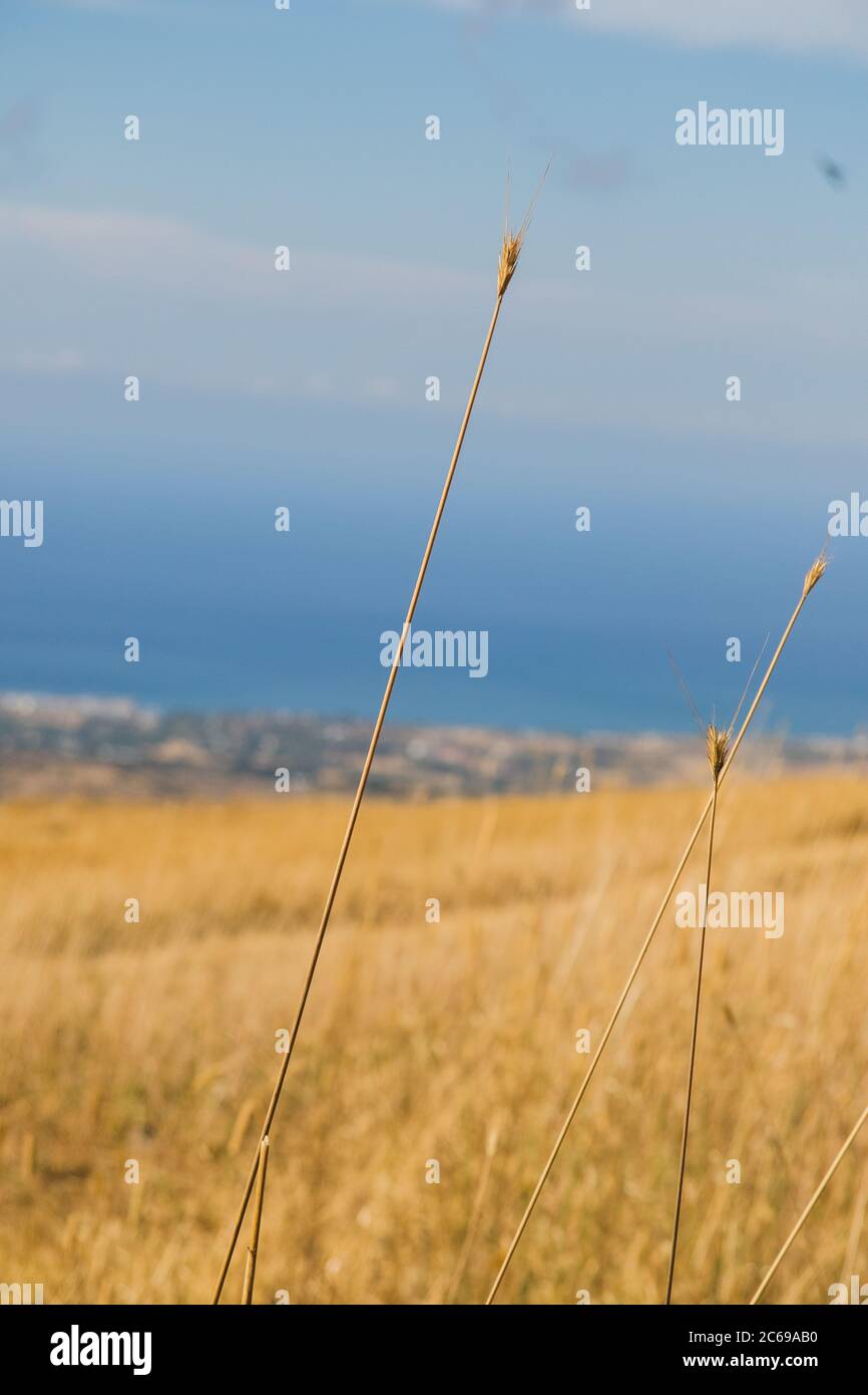 Fasli village hi-res stock photography and images - Alamy