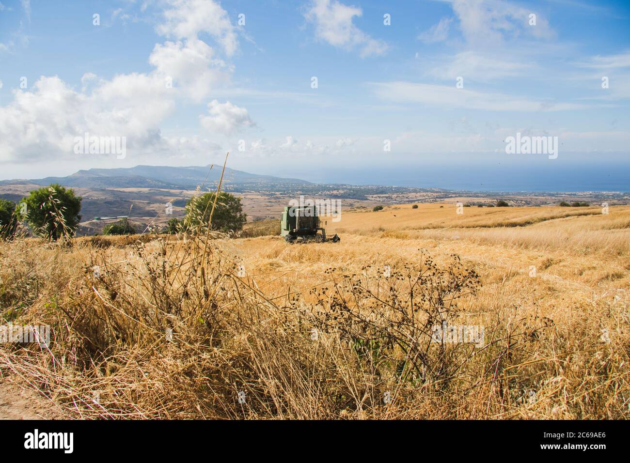 Harvest at Fasli, Paphos, Cyprus Stock Photo - Alamy