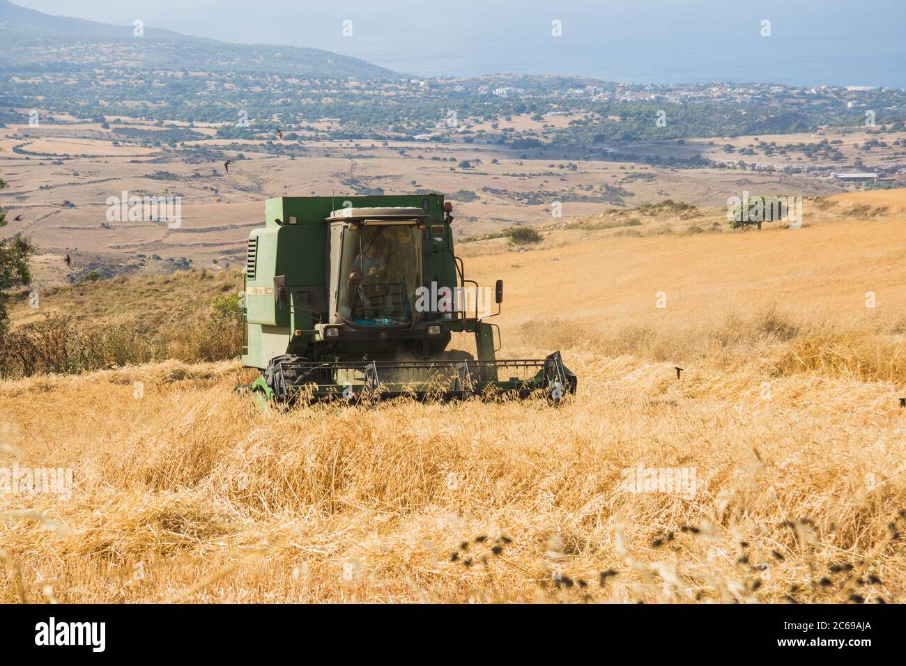 Harvest at Fasli, Paphos, Cyprus Stock Photo - Alamy