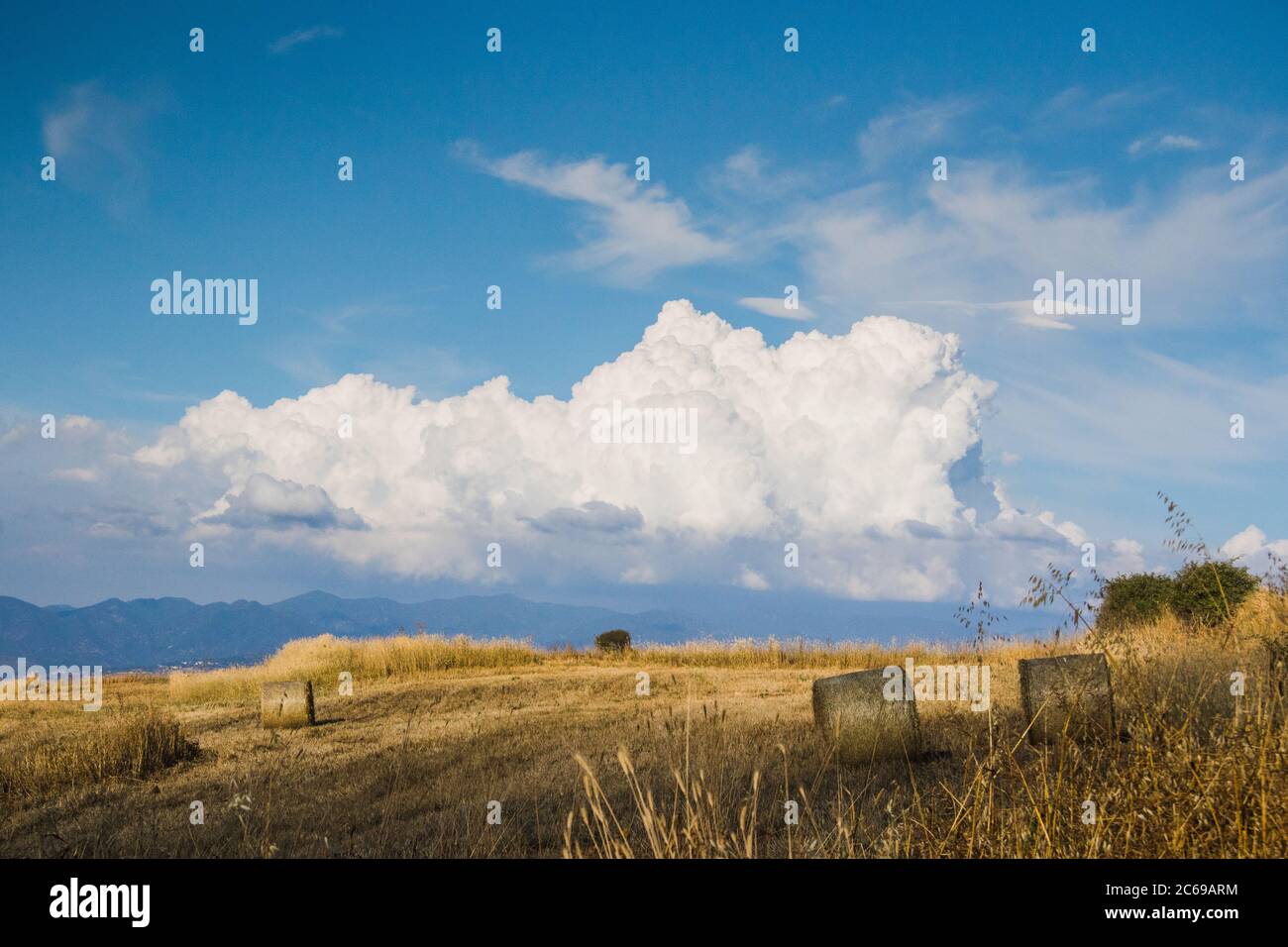 Harvest at Fasli, Paphos, Cyprus Stock Photo - Alamy