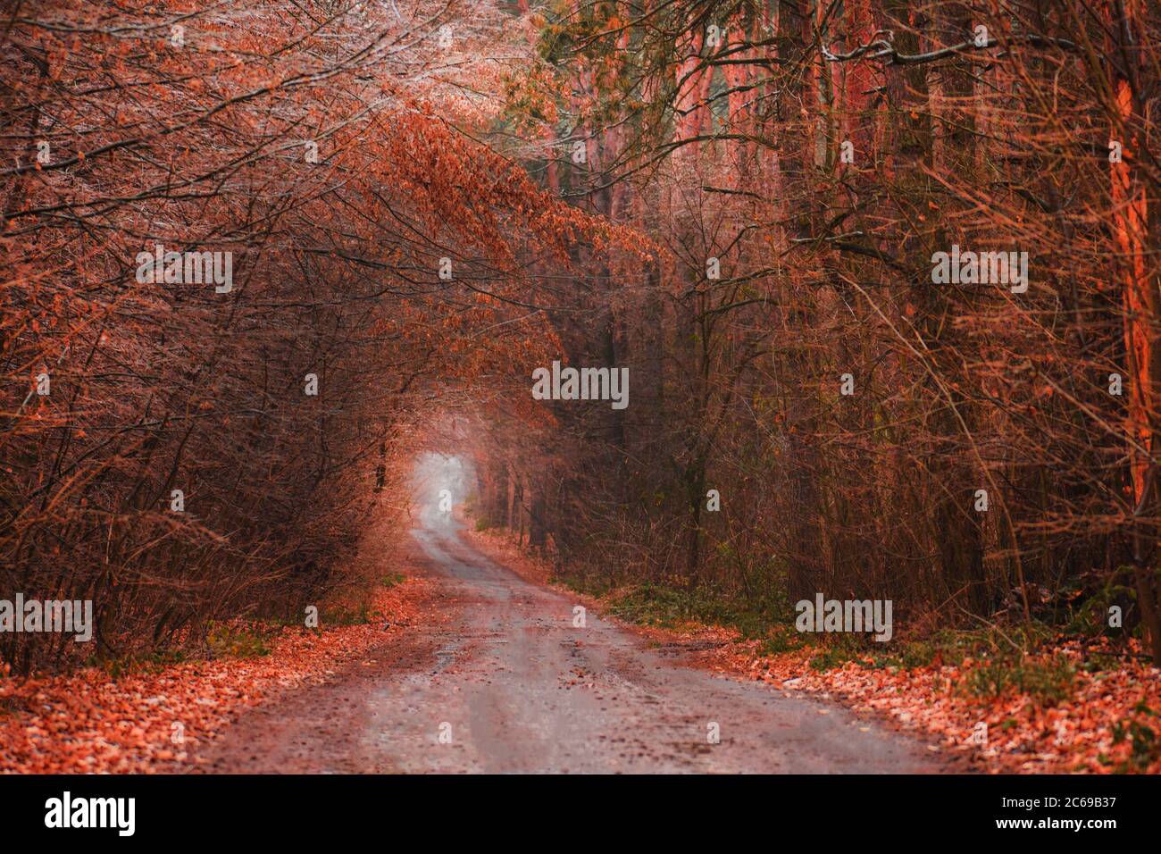 Wooded Countryside High Resolution Stock Photography and Images - Alamy