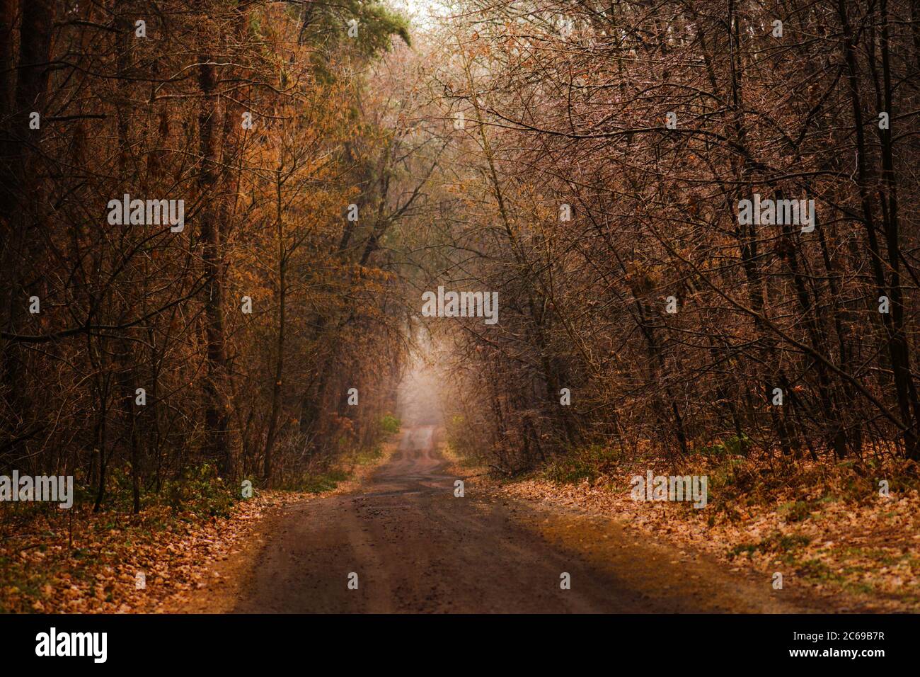 Mystic autumn road. Magical forest scene. Road in a mysterious fall ...