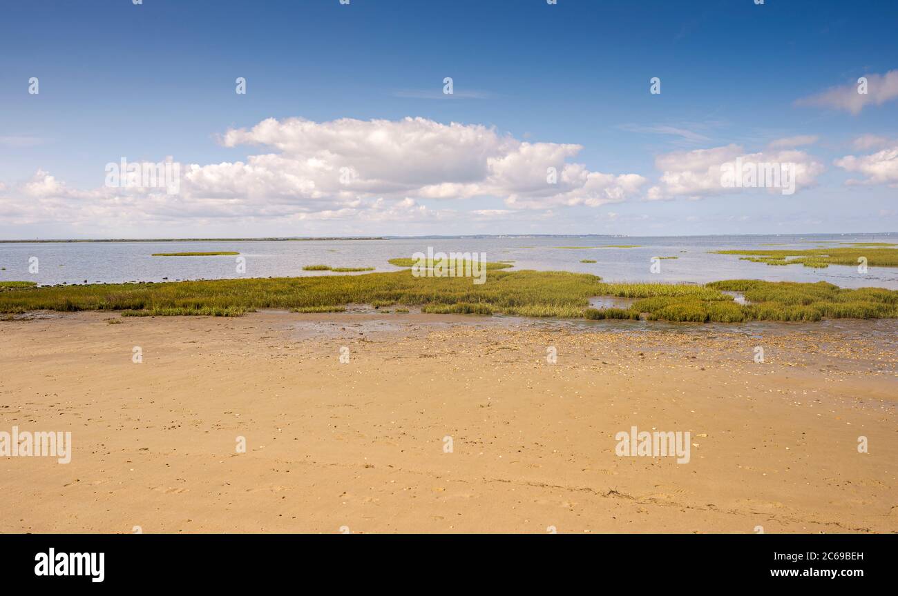 Lanton hi-res stock photography and images - Alamy