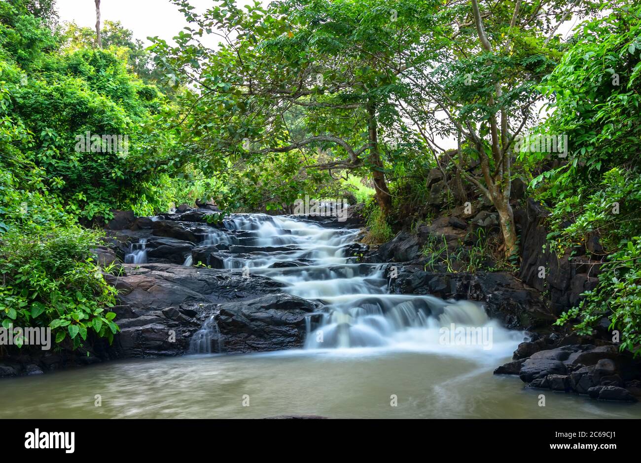 Stream in the rainforest with soft flowing water like wool flowing ...