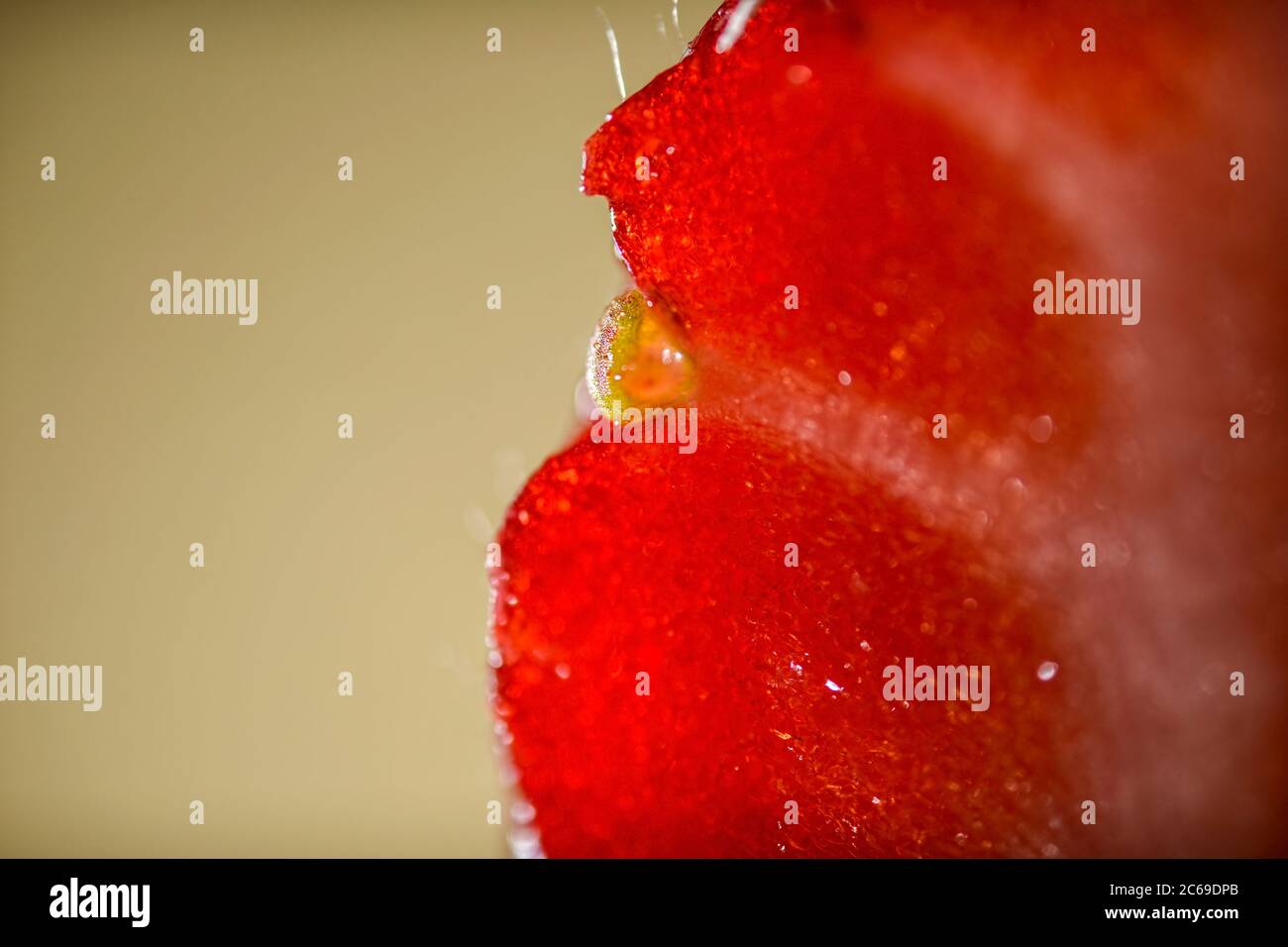 Australian strawberry photo hi-res stock photography and images - Alamy