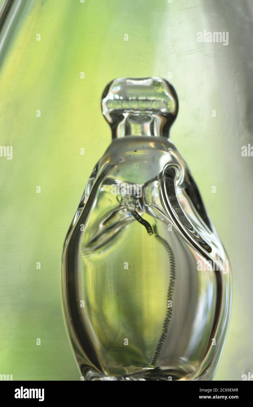 Broken filament in a lamp bulb Stock Photo - Alamy