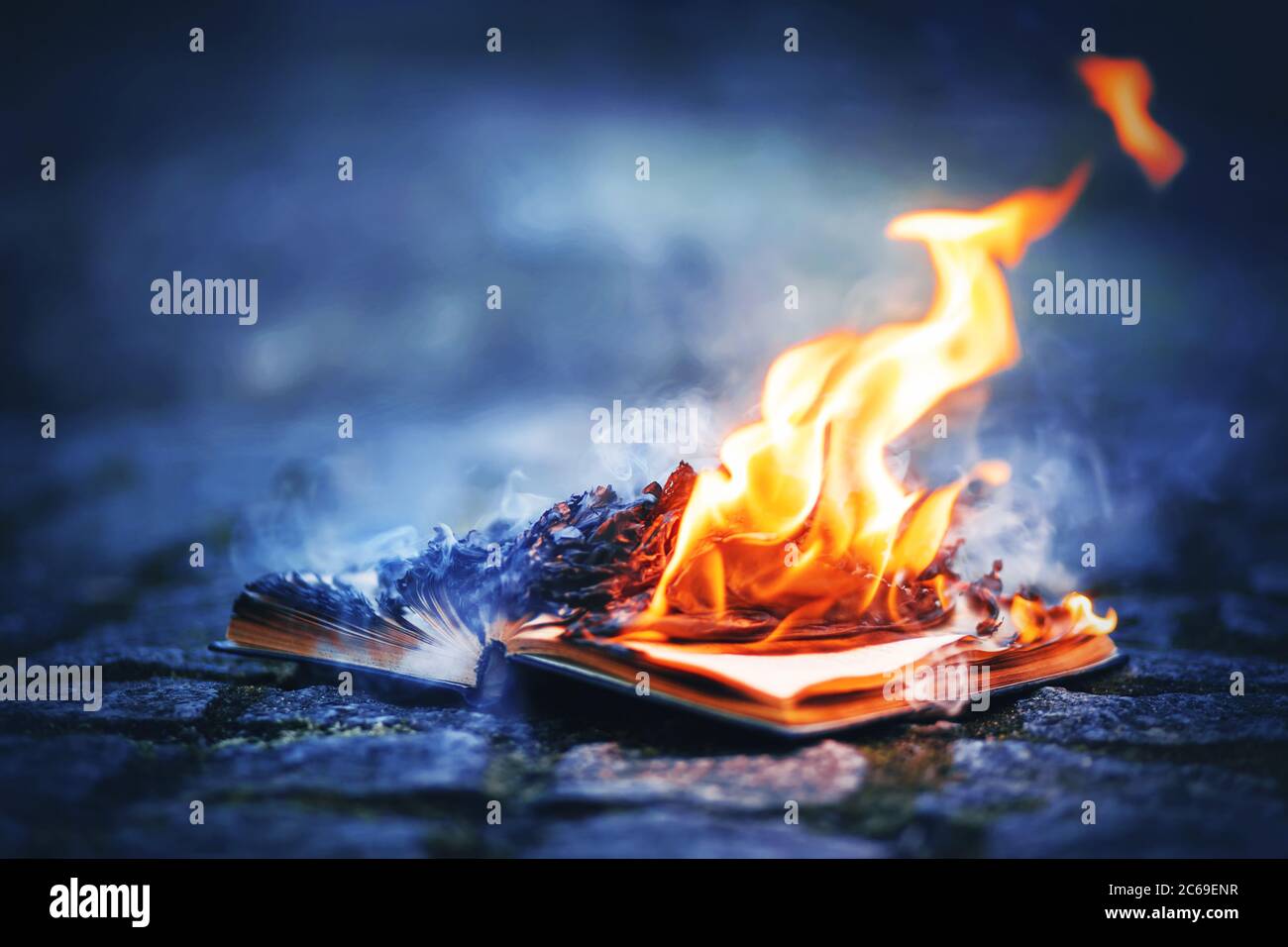 Burn book hi-res stock photography and images - Alamy