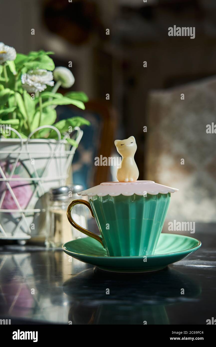 Cat cup cover hi-res stock photography and images - Alamy