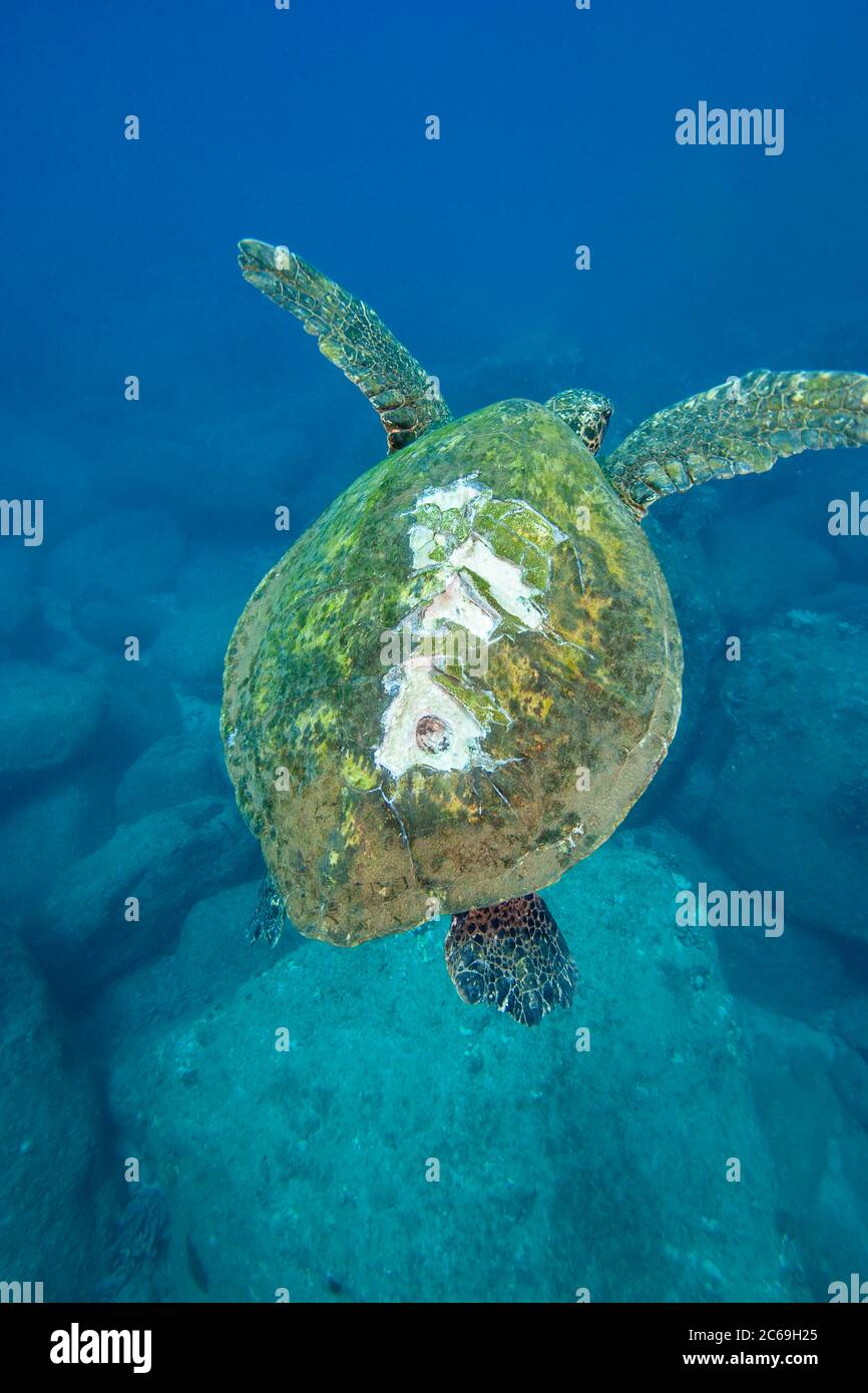 Propeller damage hi-res stock photography and images - Alamy
