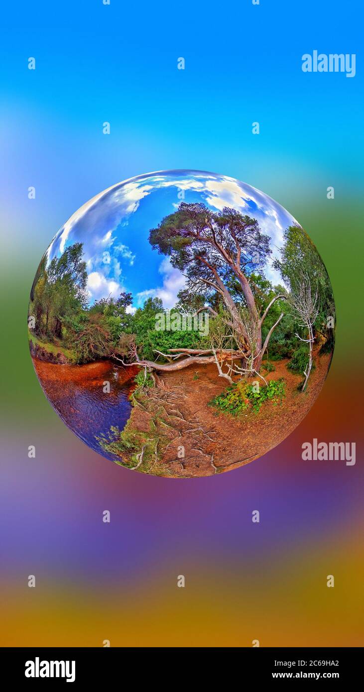 Stream water bridge next hi-res stock photography and images - Alamy