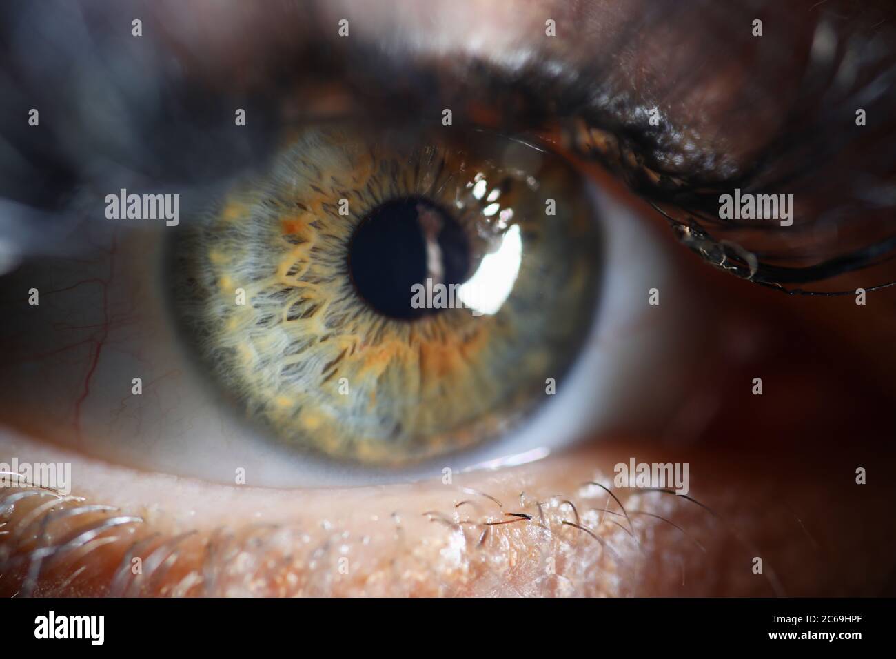 Human eye close up Stock Photo - Alamy
