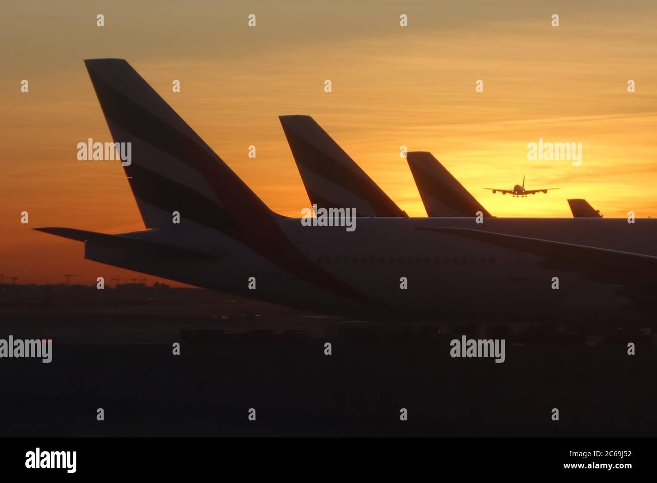 Emirates aircraft tail fins silhouetted against an orange sky as a ...