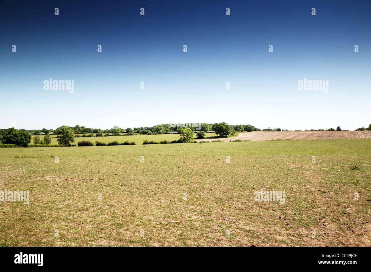 framland field in the essex countryside of england Stock Photo - Alamy